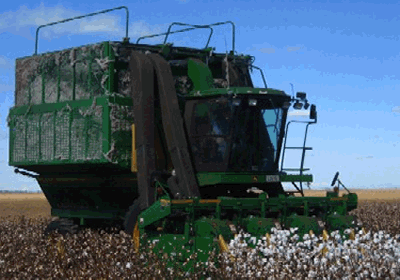 GIF cotton - animated GIF on GIFER