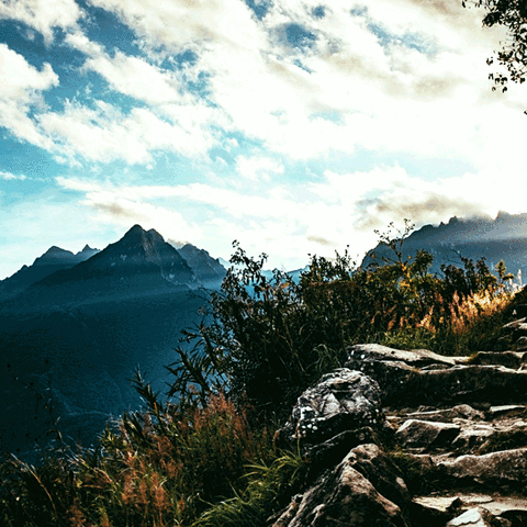 Rafting Funny Gif / Pin On Phenotype - Explore and share the best ...