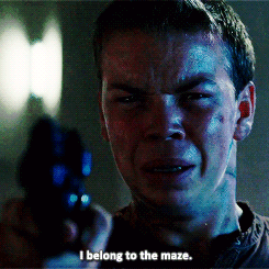 The maze runner GIF - Find on GIFER