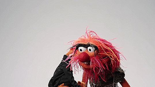 GIF animal the muppets the muppets abc - animated GIF on GIFER