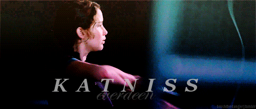 Cinna GIF - Find on GIFER