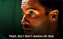 Cinna GIF - Find on GIFER