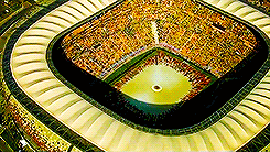 Sports soccer celebration GIF - Find on GIFER