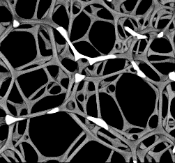 Klein hypertorus etc GIF - Find on GIFER