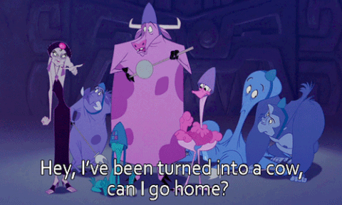 Emperors new groove GIF - Find on GIFER