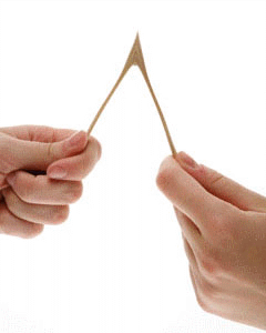 GIF turkey time - animated GIF on GIFER