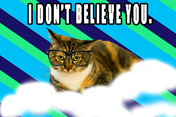 Cat rick guinan GIF - Find on GIFER