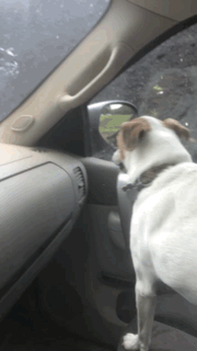 GIF magic look hey - animated GIF on GIFER