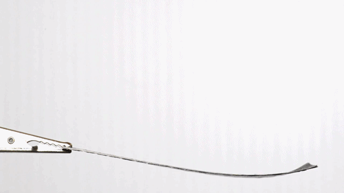 2d GIF - Find on GIFER