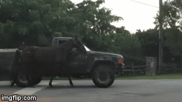 GIF horsepower - animated GIF on GIFER