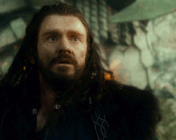 GIF thorin - animated GIF on GIFER