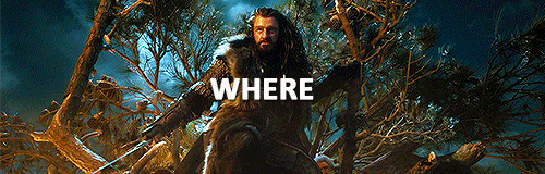 Thorin GIF - Find on GIFER