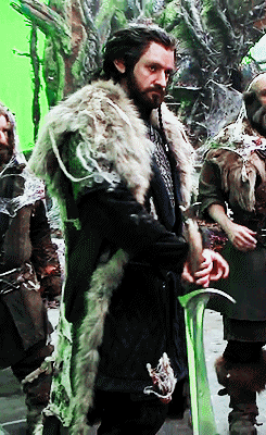 Thorin GIF - Find on GIFER