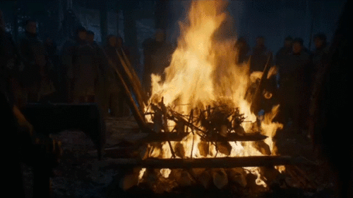 Shall GIF - Find on GIFER