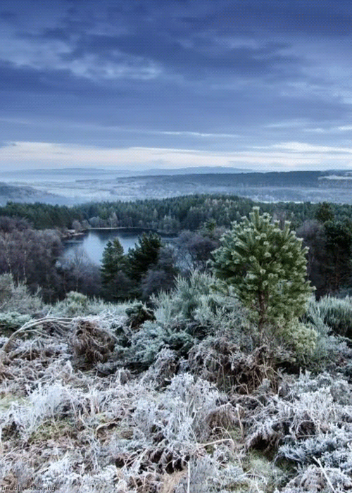 Highlands scottish highlands inverno GIF - Encontrar em GIFER