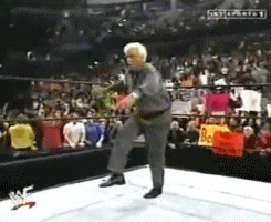 GIF ric flair wwe stone cold - animated GIF on GIFER