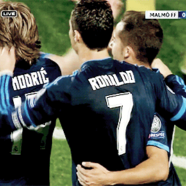 My s fox 300915 GIF - Encontrar en GIFER