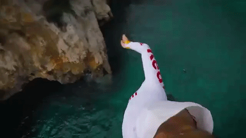 Coral GIF on GIFER - by Darin