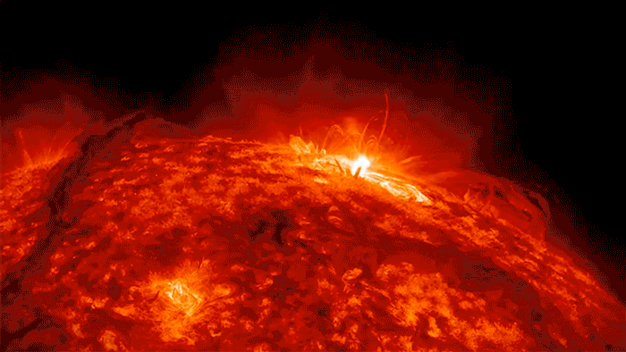 Flare GIF - Find on GIFER