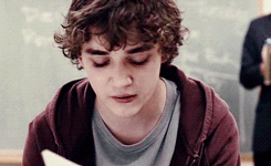 Bull GIF - Find on GIFER