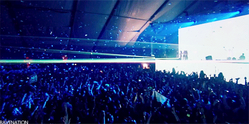 Party GIF - Find on GIFER