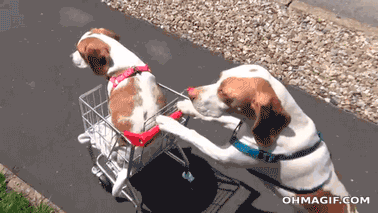 Bae stroll GIF - Find on GIFER
