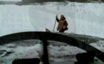 Pretty sure I have the spawn of satan or an alien growing in my yard ...