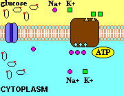 Active GIF - Find on GIFER