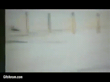 GIF beast mode - animated GIF on GIFER