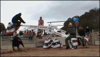 Totter toro GIF - Find on GIFER