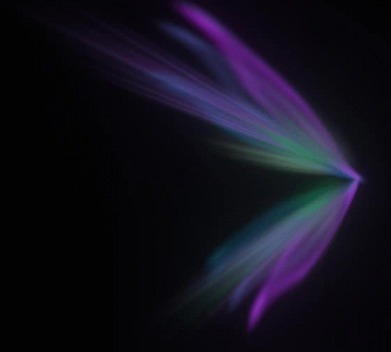 Wings GIF - Find on GIFER