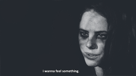 GIF vanity - animated GIF on GIFER