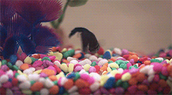 Keith stanfield marcus GIF - Découvrez sur GIFER