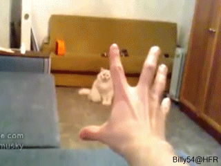 GIF acid trip - animated GIF on GIFER