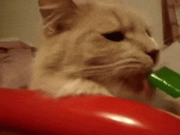 Popsicle loop melting GIF - Find on GIFER