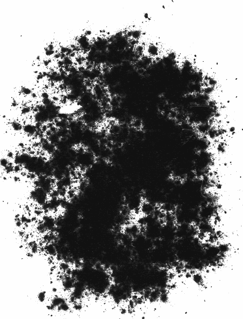 Face matthias brown GIF - Find on GIFER