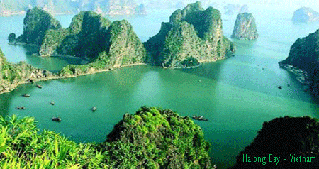 The bay GIF - Find on GIFER