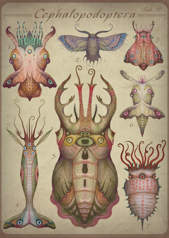 Insects GIF - Find on GIFER