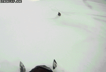Sports fail yikes GIF - Find on GIFER