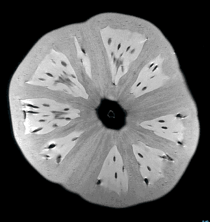 Scan art science GIF - Find on GIFER