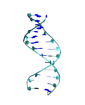 Database GIF - Find on GIFER