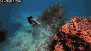 Underwater diving wheelchair GIF - Find on GIFER