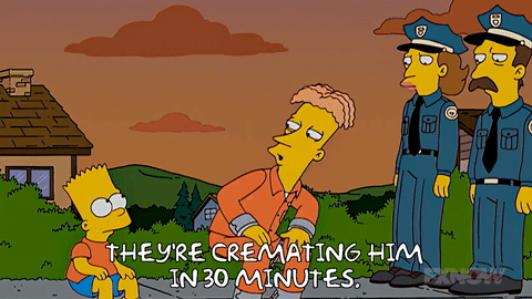 Bart simpson episode 8 season 19 GIF - Find on GIFER