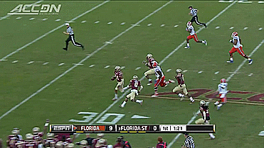 College football fsu florida state GIF - Find on GIFER