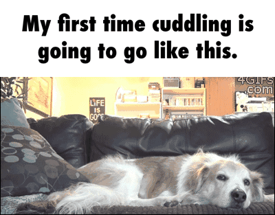 Cuddling GIF - Find on GIFER