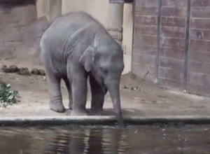 Water time GIF - Find on GIFER