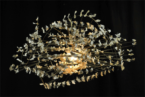 Moth GIF - Find on GIFER