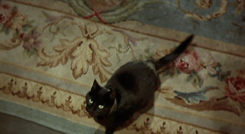 Legend GIF - Find on GIFER