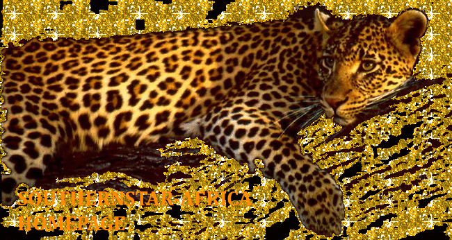 Africa GIF - Find on GIFER