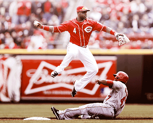 Sports baseball mlb GIF - Find on GIFER